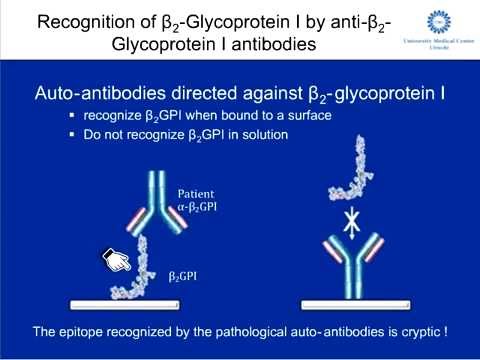 ISTH Academy Presentation: New mechanistic understanding in APS