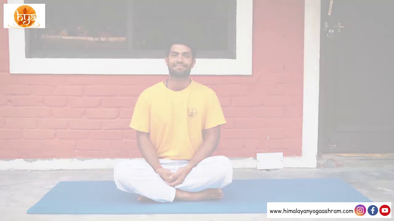#Urdhva #Hastasana | How To Do Upward Hand Pose ?  Himalayan Yoga Association 🙏
