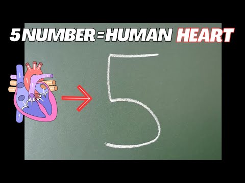 how to make heart | how to draw heart diagram easily | heart diagram easy to draw|heart drawing easy