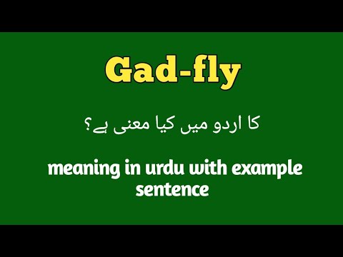 Gad-fly meaning in urfu/hindi |How to pronounce Gad-fly |gadfly in sentence