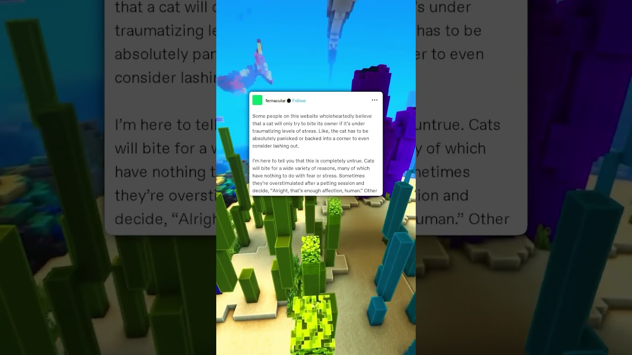 A Taste of Adventure 🐈