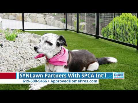 Explore American-Made SYNLawn's Manufacturing Process