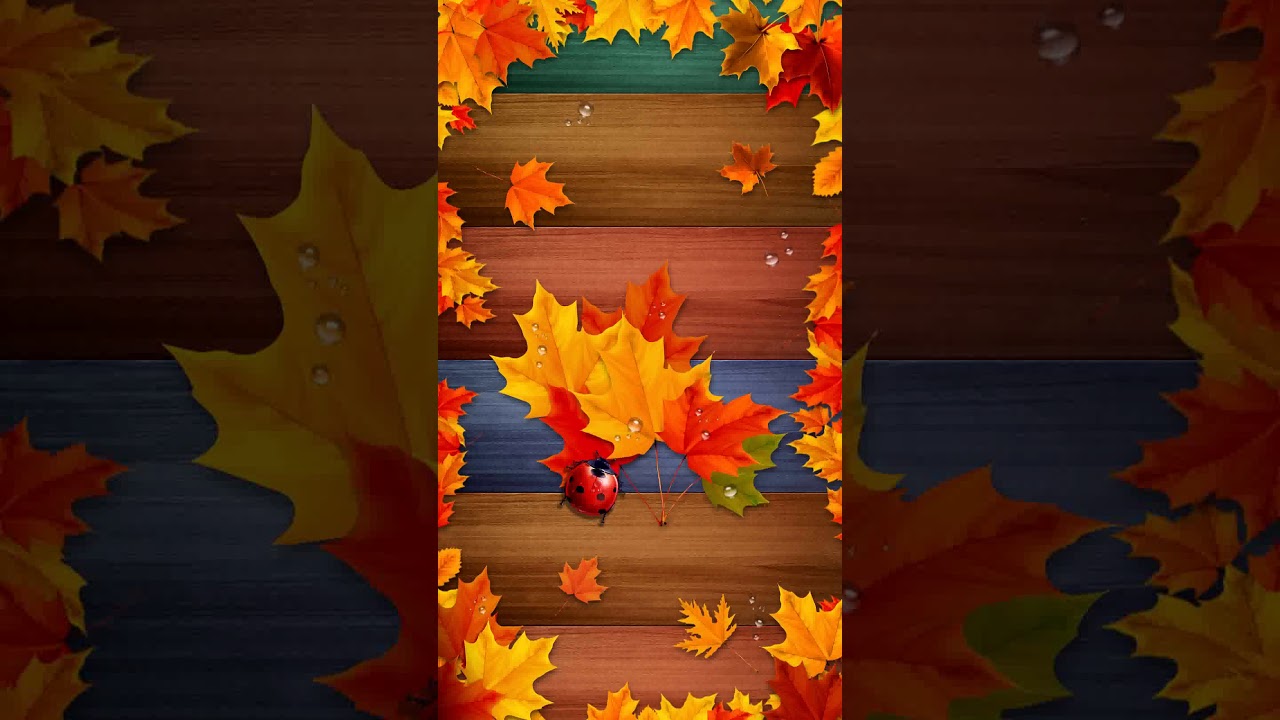 Autumn leaves fall color board Animated