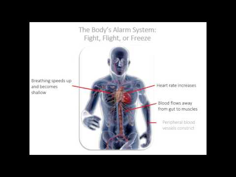 CJCA Webinar: What Trauma Informed Care Really Means