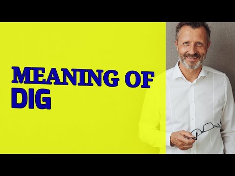 Dig | Meaning of dig