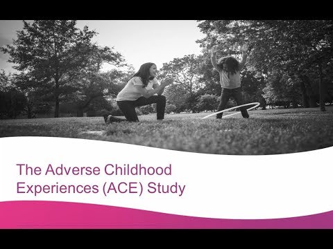 Adverse Childhood Experiences (ACE) Provider Training
