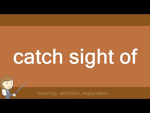 catch sight of