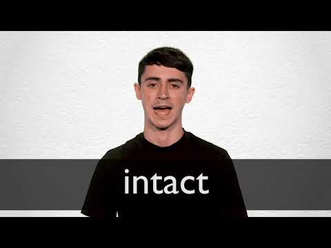 INTACT - Meaning & Translations | Collins English Dictionary