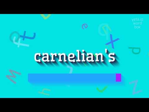 How to say "carnelian's"! (High Quality Voices)