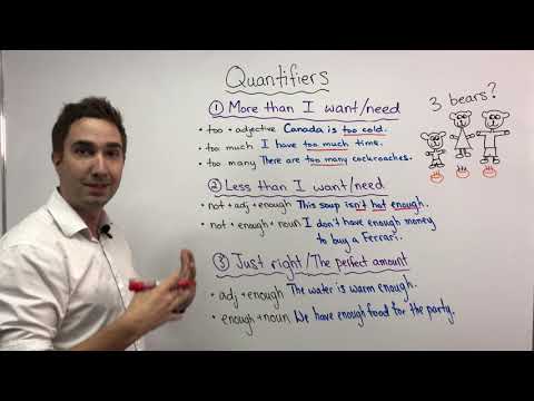 Quantifiers: enough, too many, too much