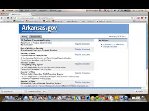 Terrible Arkansas Child Support Online System (Whose Brother-In-Law got this deal?)