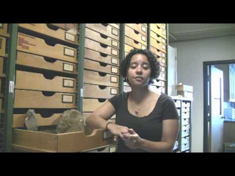 The Ediacaran Organisms - Did they Move, What did they Eat?