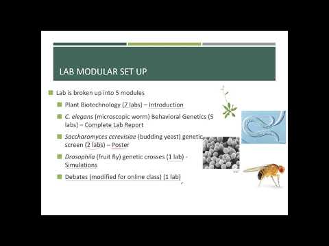 BIO 211 Lab 1.1