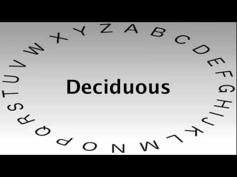 SAT Vocabulary Words and Definitions — Deciduous