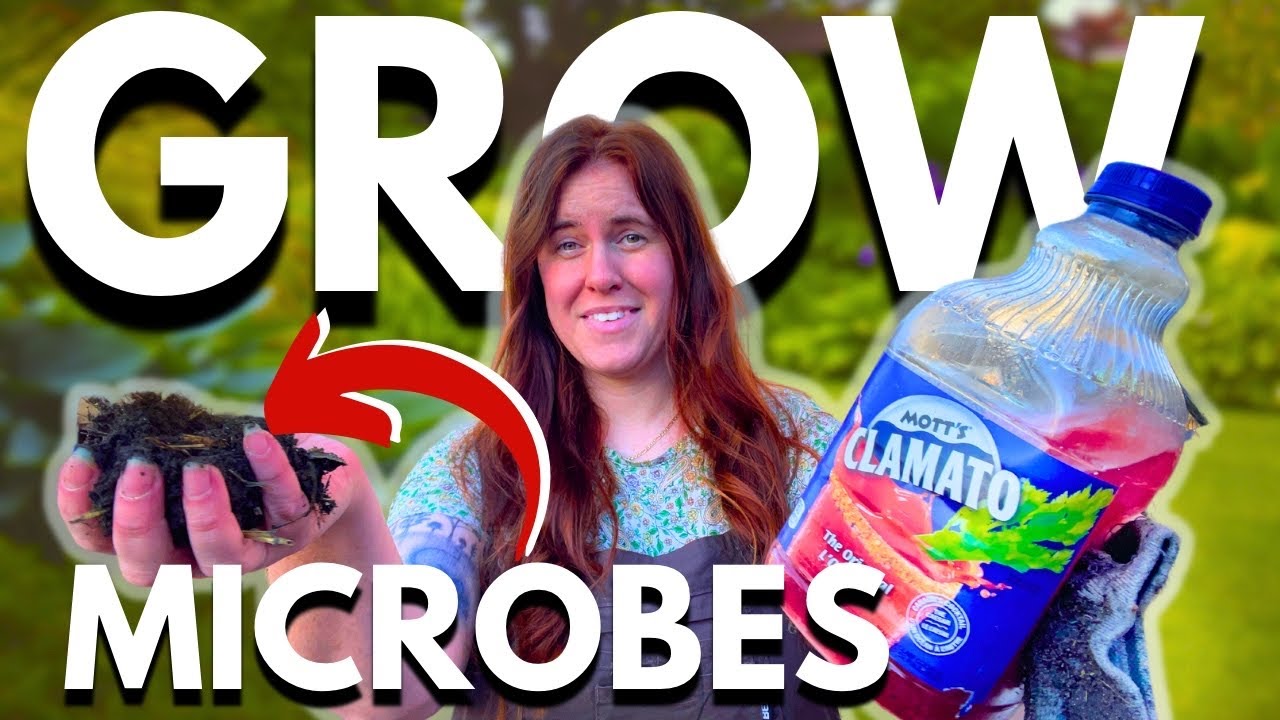 How To INCREASE Soil MICROBES (Science & Testing)