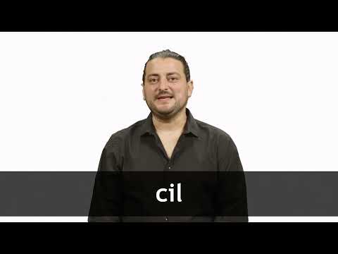 English Translation of “CIL” | Collins French-English Dictionary