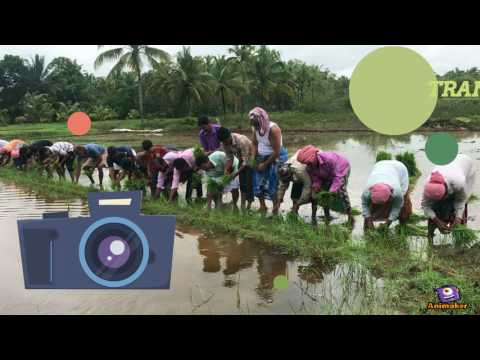 FALLOW LAND CULTIVATION