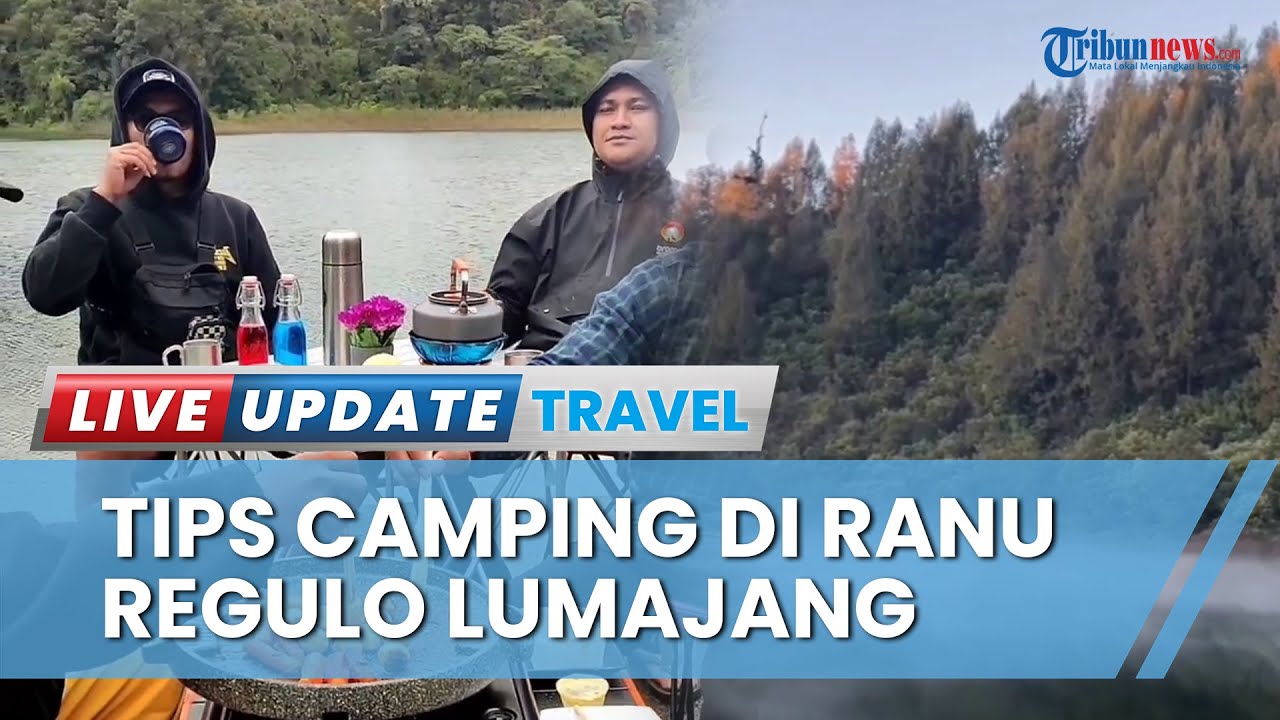 Tips Camping di Ranu Regulo Lumajang, Bisa Nikmati View Danau dan Hutan ...