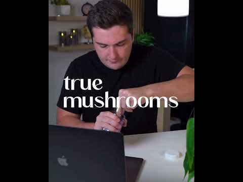 Mushroom Gummies that target brain performance, immunity, gut health, and mood.