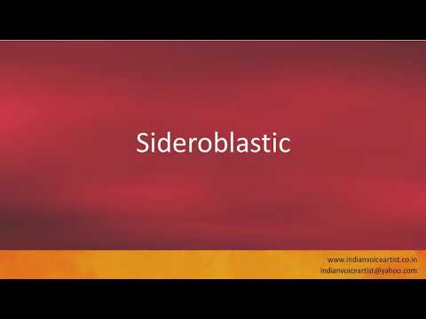 Pronunciation of the word(s) "Sideroblastic".