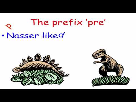 prefixes with exercises 8 QUESTIONS