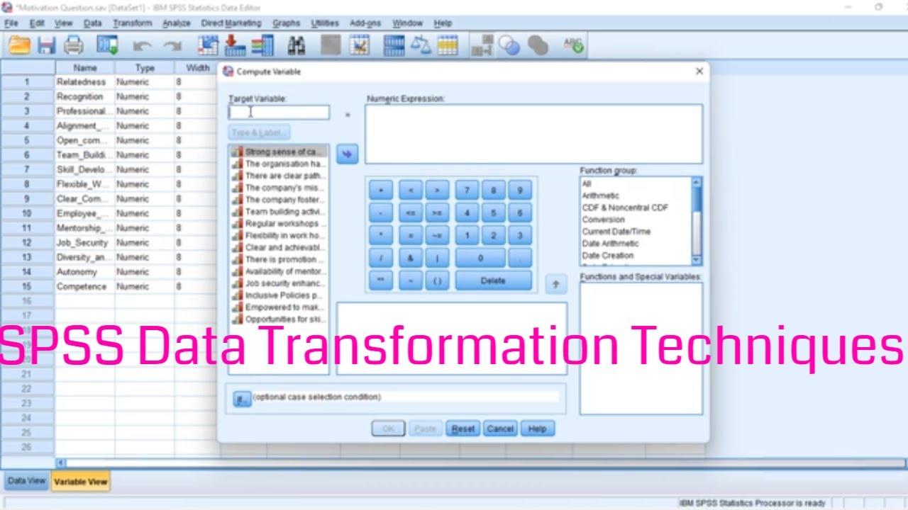 SPSS Data Transformation Techniques | How to perform Data Transformation in SPSS