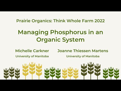 Prairie Organics 2022: Managing Phosphorus in an Organic System
