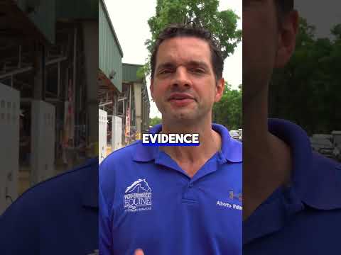 The Elon Musk of the Horse Industry: Revolutionizing Equine Care