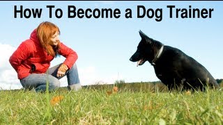 Dog Trainer Overview | What is a dog trainer? - Zippia