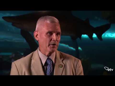 Melvin Bell - Full Interview | Sea Change