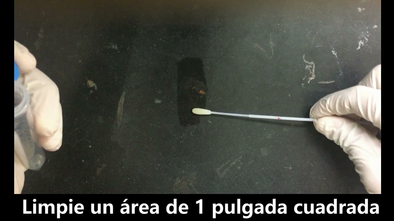 Instrucciones de muestreo con hisopo