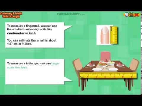 Units of Length You Use Every Day! *Math for Kids*