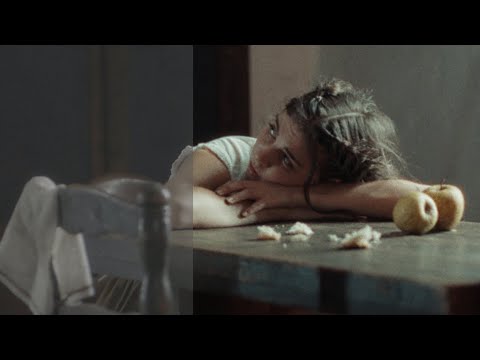FILMPROCESS EASTMANvsVISION - FILM EMULATION - ANALOGICALAB PROJECT