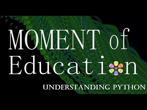 Understanding Python: Variables and Formatting with the Print Command