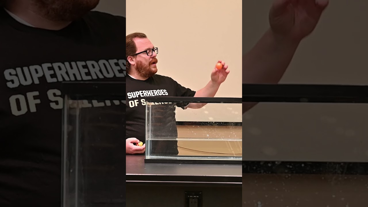 Buoyancy Defined  #physics #science #buoyancy