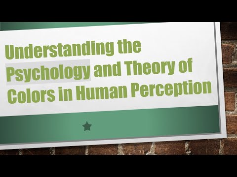 Understanding the Psychology and Theory of Colors in Human Perception