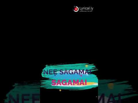 Krishna Arjun Movie Songs ( Fly Wanna Fly..)
