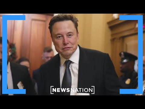 Musk: Impeach judge who blocked DOGE Treasury access | NewsNation Live