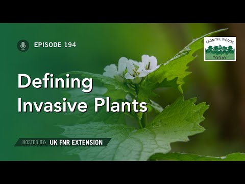 Defining Invasive Plants - From the Woods Today - Episode 194