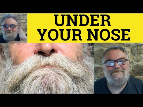 Under your Nose Meaning - Right Under your Nose Examples - Right Under your Very Nose Defined Idioms