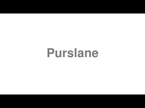 How to Pronounce "Purslane"