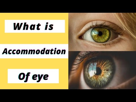 Accommodation/ what is accommodation #shorts #viral #ytshorts
