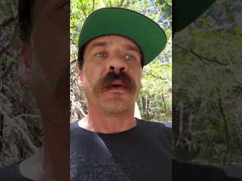 Unpatented placer gold mining claim in Nevada County California. Bloody Run Creek