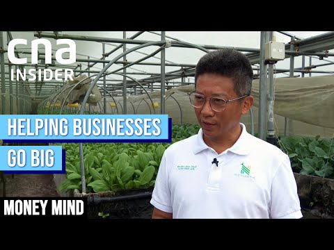 Budget 2023: Can More Singapore SMEs Become Global Brands? | Money Mind