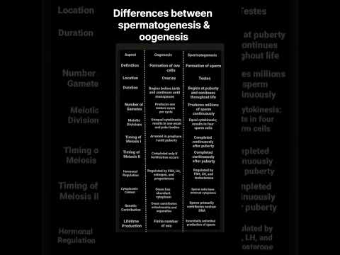 Differences between Spermatogenesis and oogenesis #biology