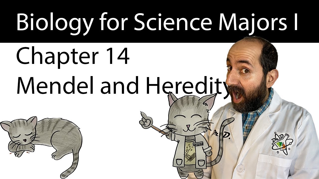 Chapter 14 – Mendel and the Gene Idea