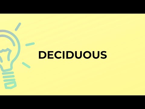 What is the meaning of the word DECIDUOUS?