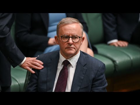 Campaign has 'shone a spotlight' on Anthony Albanese