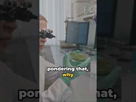 Creating a Human-Plant Hybrid: Is It Possible? The Shocking Truth Revealed!
