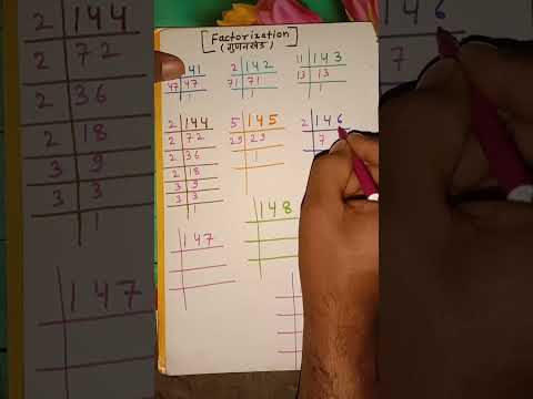 prime factors of 146